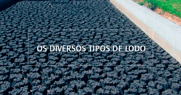 Os diversos tipos de lodo